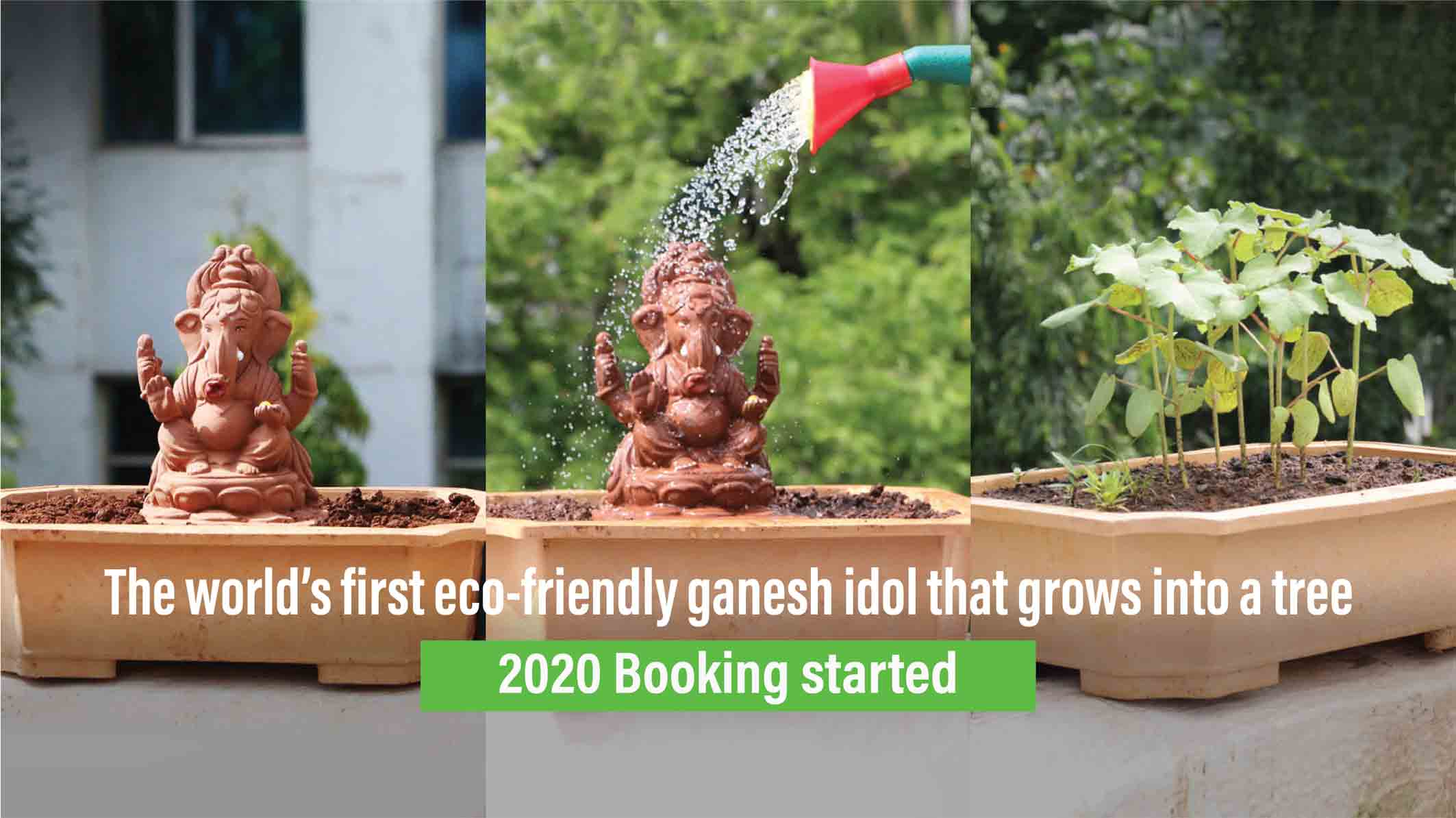 Official Tree Ganesha © - Buy Eco Friendly Ganesh Idols Online